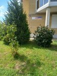 Восьмая заповедь (Tulaka Street No:1А), patent büroları  Volgograd'dan
