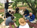 Doğanşehir Açık Ceza İnfaz Kurumu (Malatya, Doğanşehir, Esentepe Mah.), cezaevleri, islahevleri  Doğanşehir'den