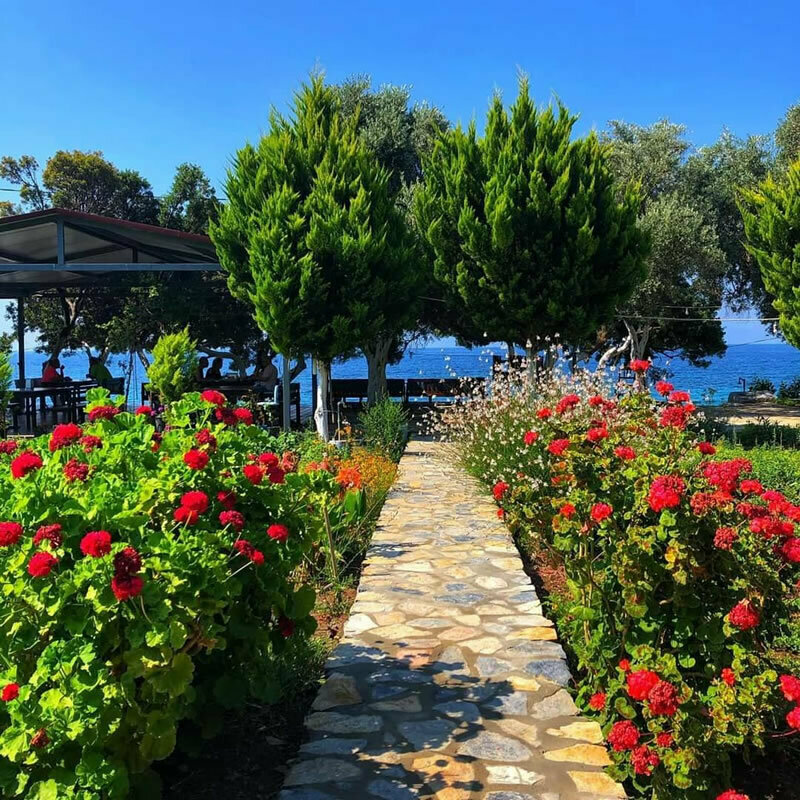 Otel Mazı Eray Pansiyon, Bodrum, foto