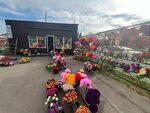 Цветы (Tambov Region, Michurinsk, ulitsa Kubanyova), çiçekçiler  Miçurinsk'ten