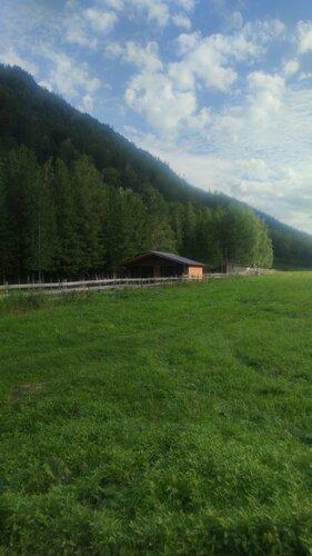 Otel Кедровая роща, Altay Cumhuriyeti, foto