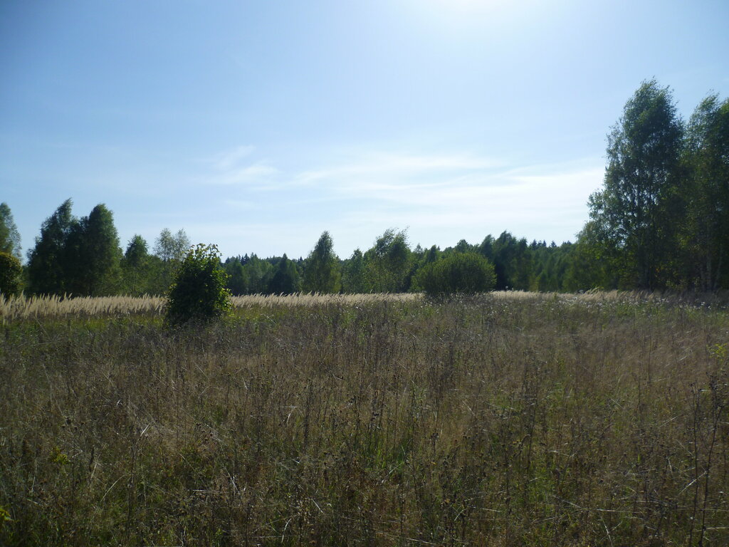 Unutulmaz olayların yeri Место падения самолëта В.В. Силантьева, Moskova ve Moskovskaya oblastı, foto
