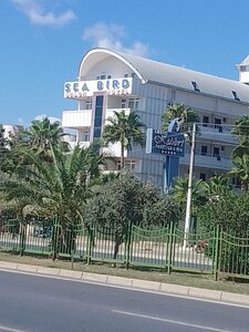 Sea Bird Beach Hotel (Antalya, Alanya, Payallar Mah., D-400 Cad., 14), otel  Alanya'dan