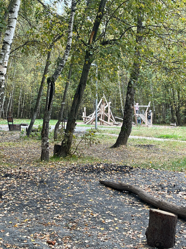 Çardak Gazebo, Moskova, foto