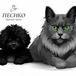 ПесиКо (ulitsa Lenina No:41А, stanitsa Varenikovskaya), evcil hayvan kuaförleri  Krasnodarski krayından