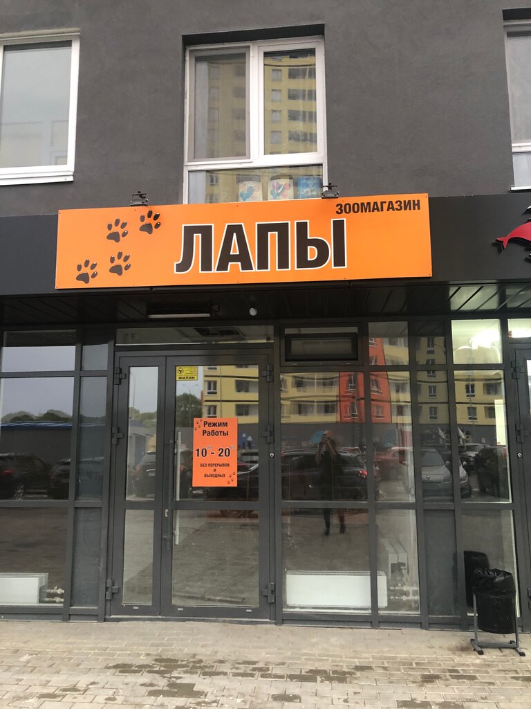 Petshop Лапы, Ulyanovsk, foto