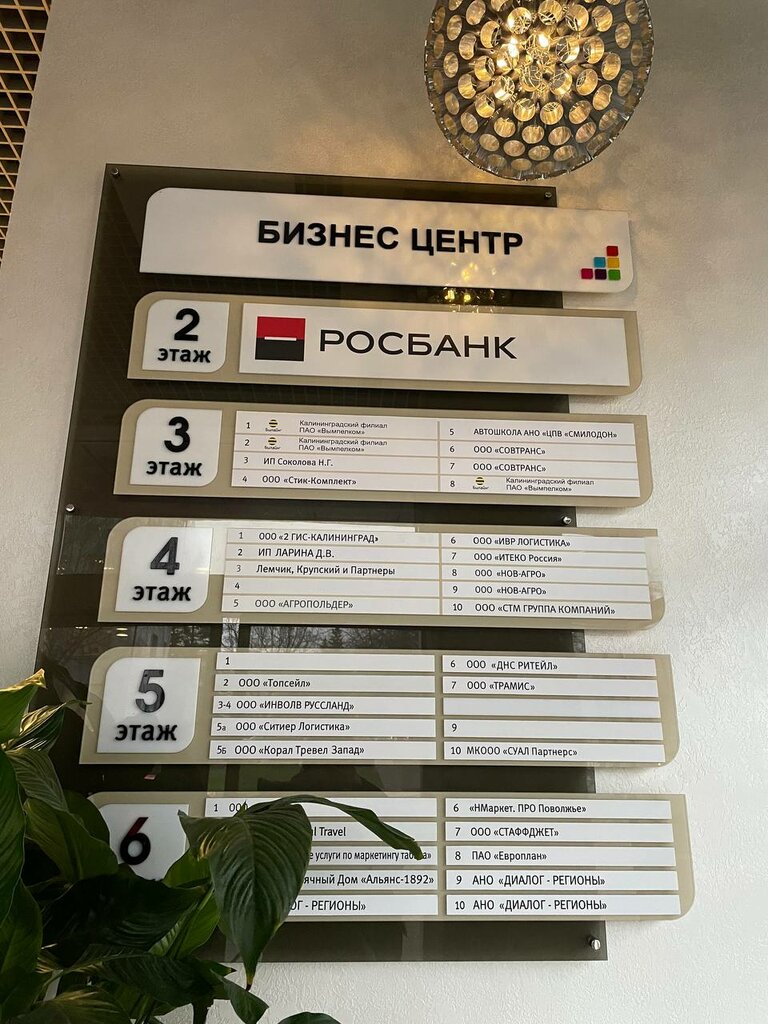Muhasebeciler B2b, Kaliningrad, foto
