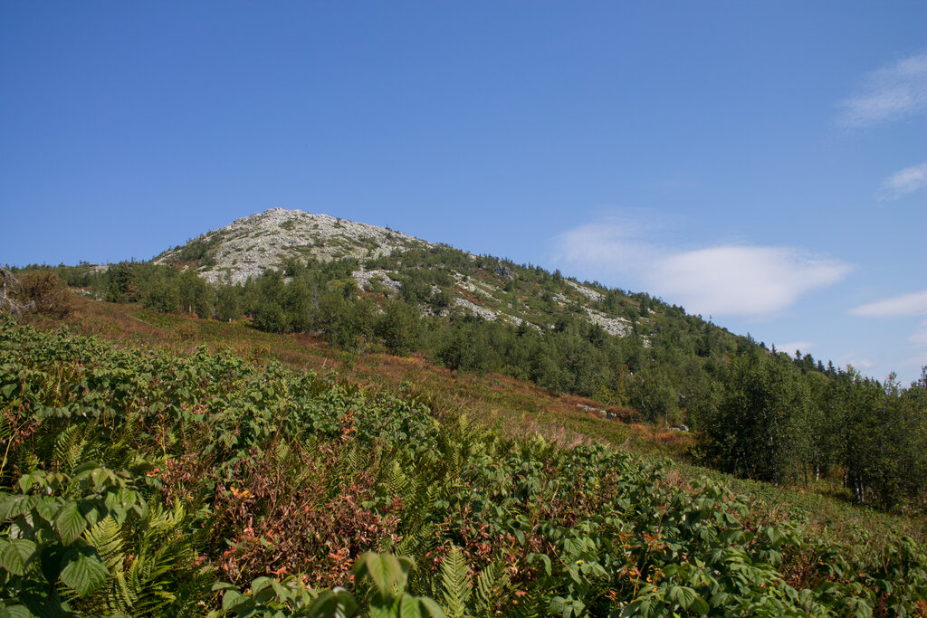 Dağ zirvesi Гора Чердынский камень, Sverdlovskaya oblastı, foto