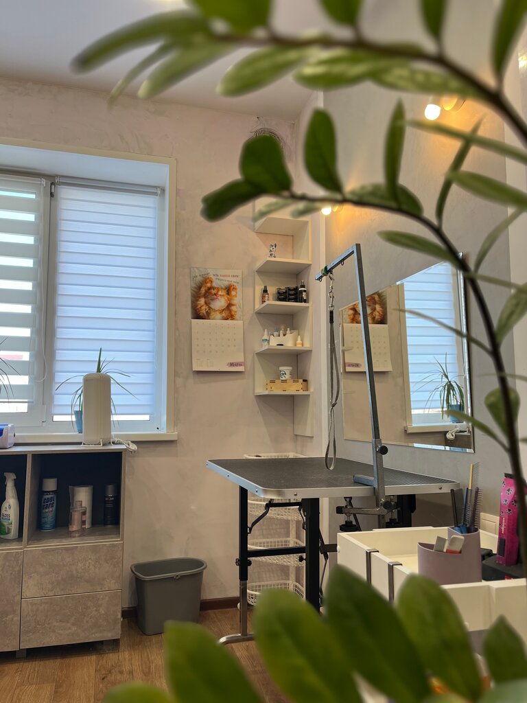 Evcil hayvan kuaförleri Наши Лапки, Samarskaya oblastı, foto