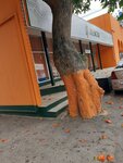 Zesco (Lusaka, Show Grounds), elektrikli oto şarj istasyonları  Lusaka'dan