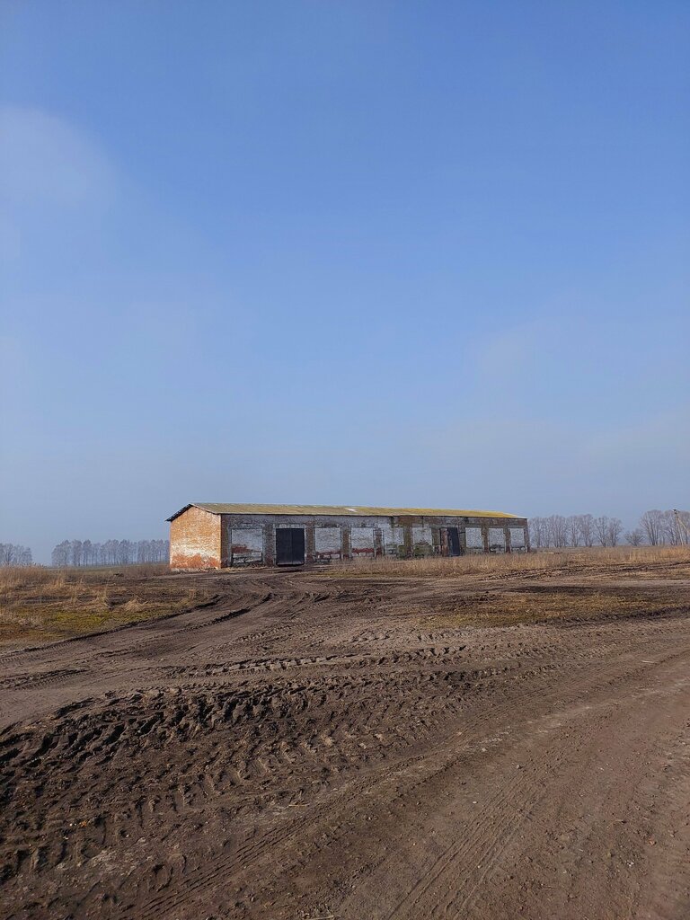 Hava meydanı Uborak Airfield, Gomelskaya oblastı, foto