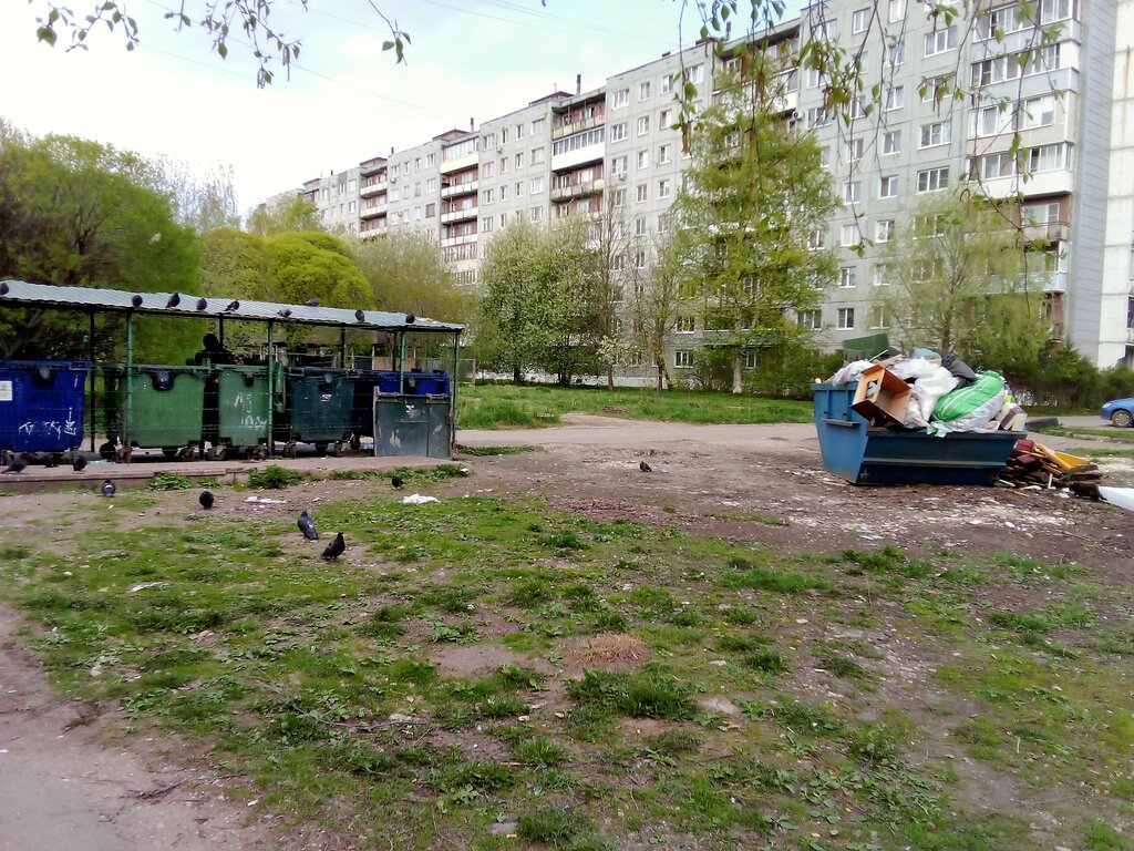 Çöp alanları Trash and garbage disposal area, Velikiy Novgorod, foto