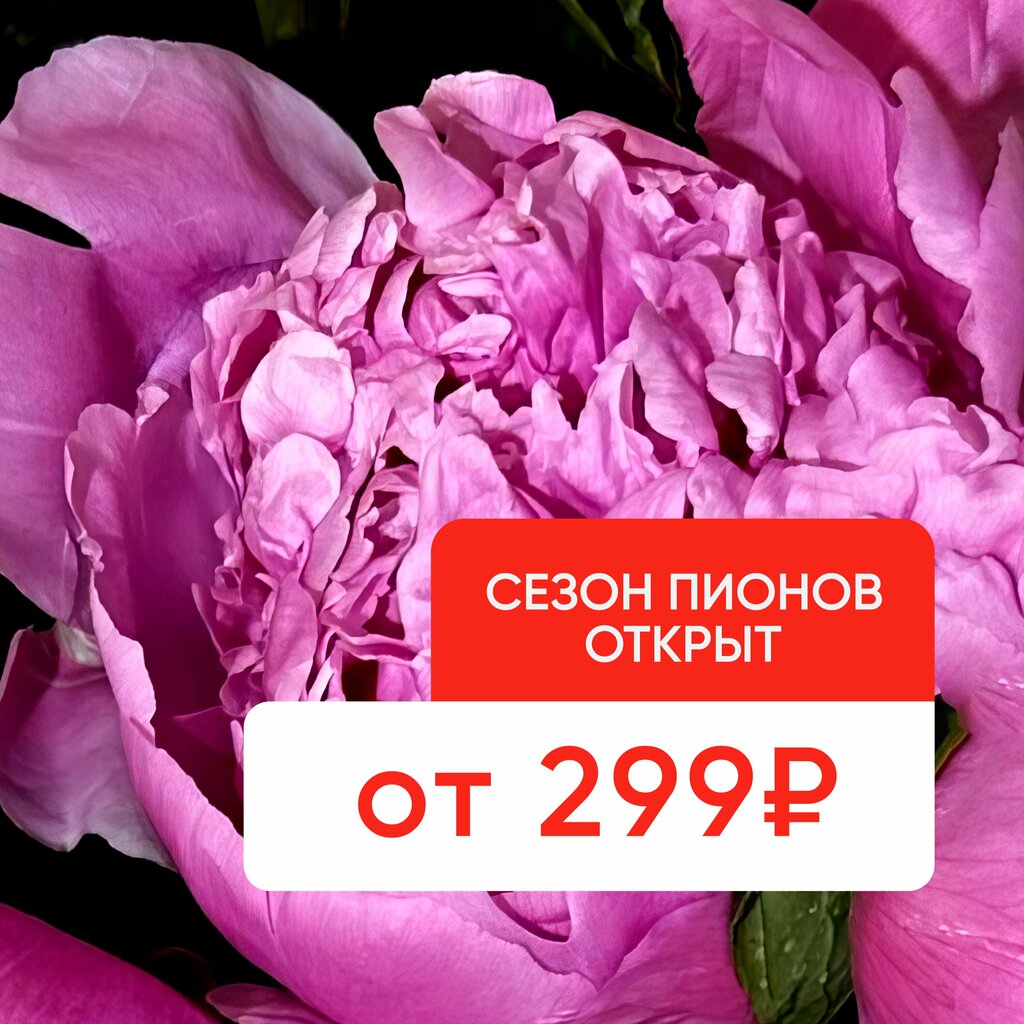 Çiçekçiler Cvetochnii Ryad, Moskova, foto