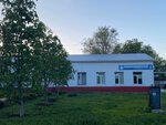 Ветеринарная клиника (Sportivnaya ulitsa No:7Г, posyolok gorodskogo tipa Ust-Kinelskiy), veteriner klinikleri  Samarskaya oblastından