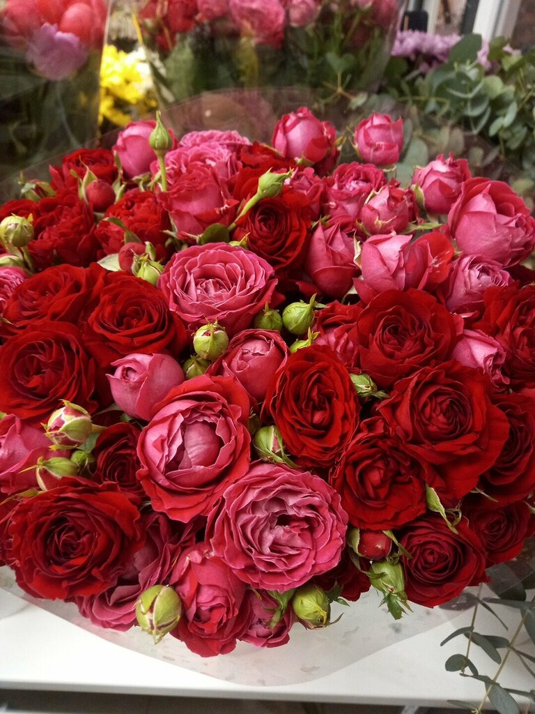 Çiçekçiler Цветочный, Krasnogorsk, foto