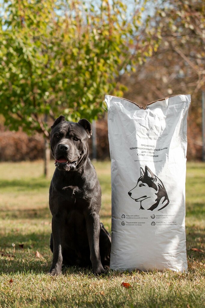 Petshop Корм Променад, Krasnodarski krayı, foto