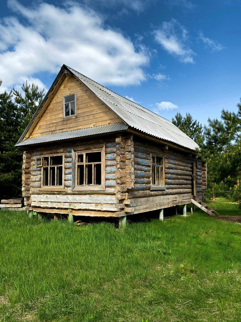 Geziler Иволга, Tataristan, foto