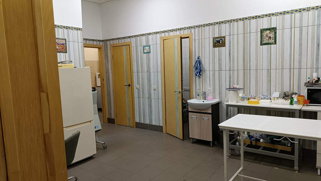 Veteriner klinikleri ИП Соколова И. В., Moskova ve Moskovskaya oblastı, foto