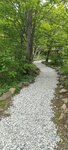 Spring, stream (Primorye Territory, Vladivostok, Sovetskiy District), pınar, çay  Vladivostok'tan