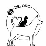 DeloroPets (Building A2, IFZA Business Park, Dubai Silicon Oasis, Mushraif, Dubai), hayvanların taşınması  Dubai'den