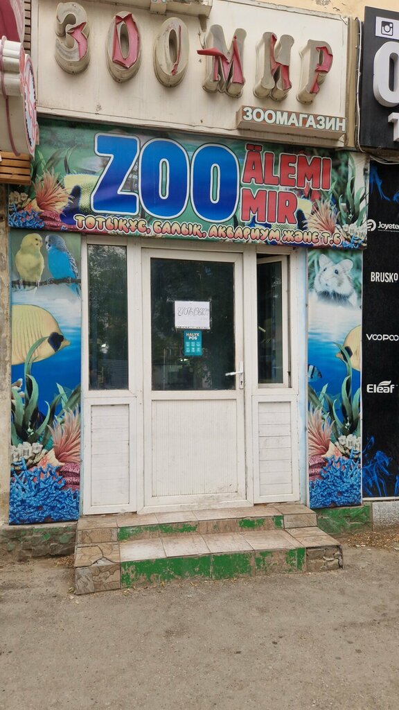 Petshop Zoo, Kızılorda, foto