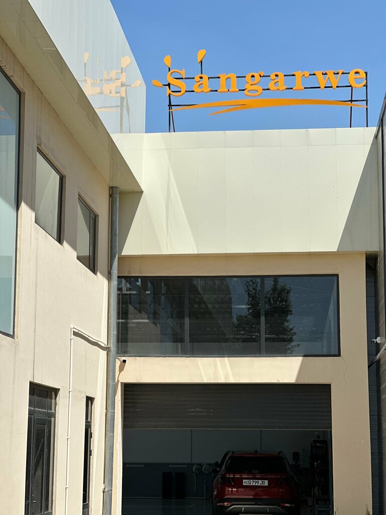 Detaylı oto bakımı Sangarwe, Taşkent, foto