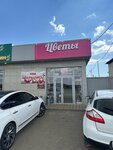 Cvety Dari (Shosseynaya ulitsa No:10, posyolok Znamenskiy, SNT Voskhod), çiçekçiler  Krasnodarski krayından
