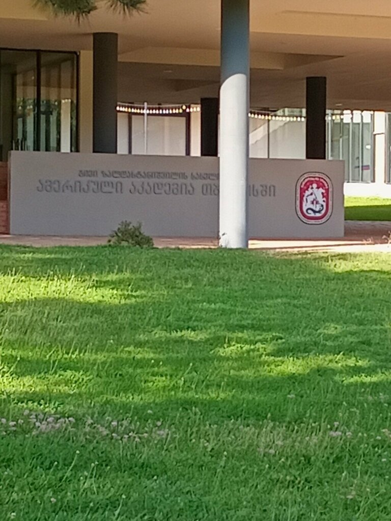 Ortaokul The Guivy Zaldastanishvili American Academy in Tbilisi, Tiflis, foto