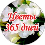 Flowers 365 (Fedoseenko Street No:4), çiçekçiler  Nijni Novgorod'dan