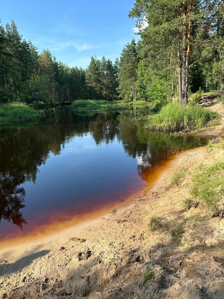 Seyahat kulübü Wander Riders, Moskova ve Moskovskaya oblastı, foto