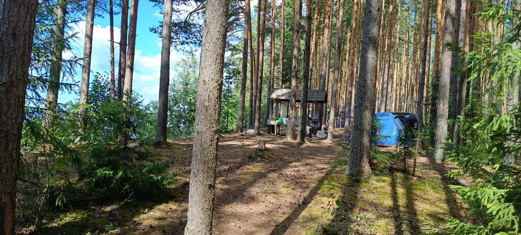 Resort oteller, tesisler Кубойка, Vologodskaya oblastı, foto