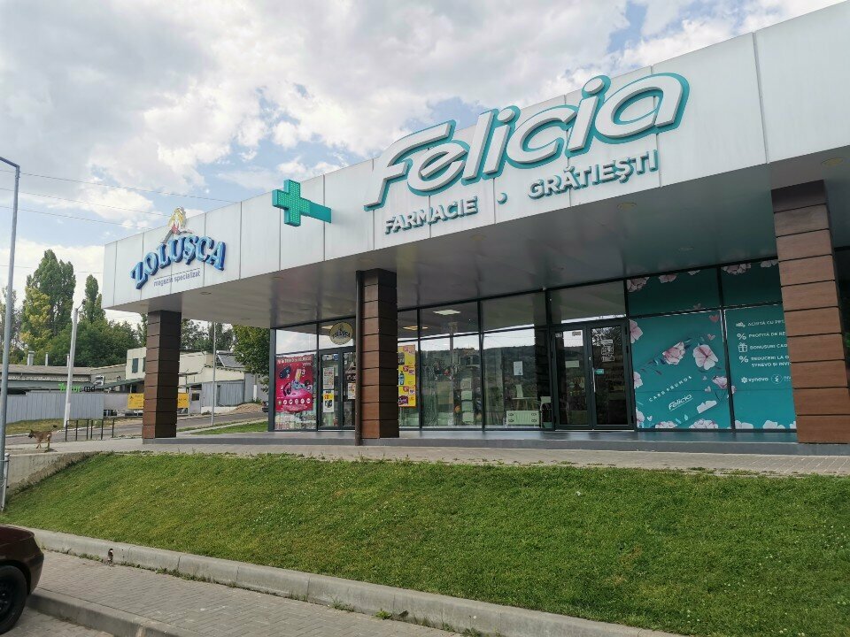 Eczaneler Felicia, Dünya, foto
