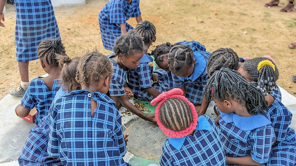 Ortaokul Zambia Open Community Schools, Lusaka, foto