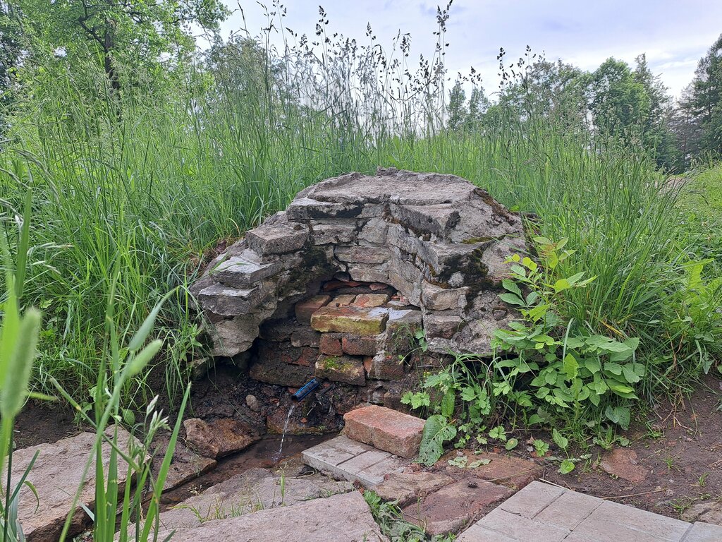 Pınar, çay Spring, stream, Puşkin, foto