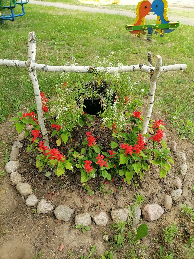 Anaokulları Yasli-Sad № 6, Vitebsk, foto