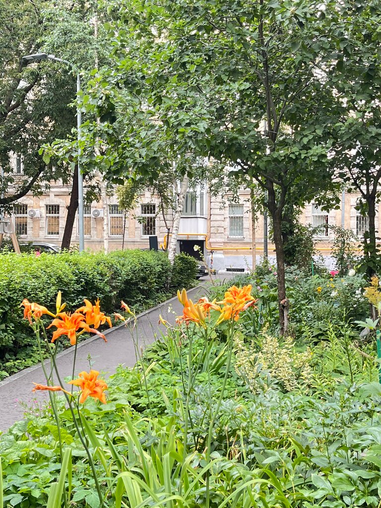 Sanat okulları Сириус, Moskova, foto