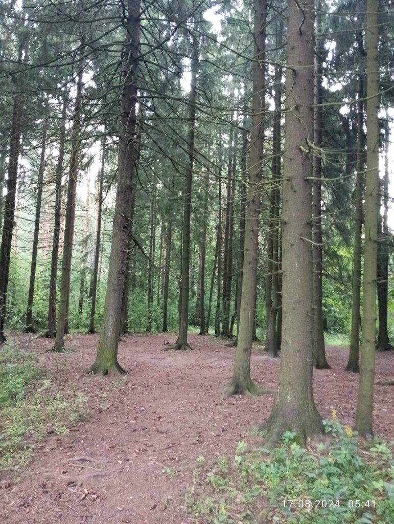 Kültür ve eğlence parkları Юго-западный лесопарк, Moskova ve Moskovskaya oblastı, foto