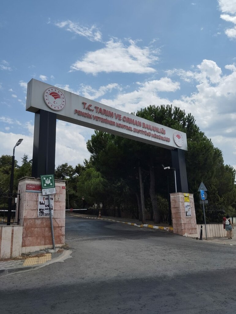 Belediyeler, devlet daireleri Pendik Veteriner Kontrol Enstitüsü Müdürlüğü, İstanbul, foto