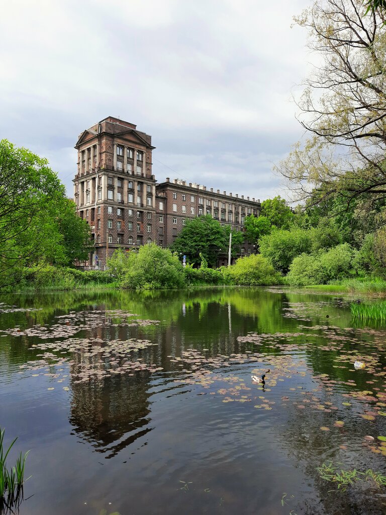 Doğa Остров Сердобольского пруда, Saint‑Petersburg, foto