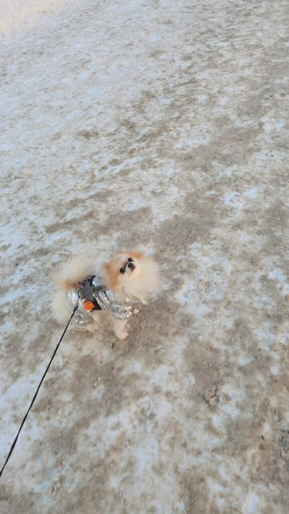 Konut blokları Порошино, Kirov, foto