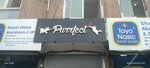 Purrfect pet shop (Street 34 No:87, Sector G-10, Islamabad), petshop  Islamabad'dan