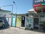 beeline (Kurmanjan Datka Street No:651, Jiydelik), telefon tamir servisi  Oş İli'nden