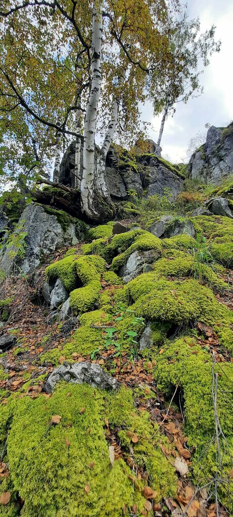 Dağ zirvesi Гора Карандаш, Çeliabinskaya oblastı, foto