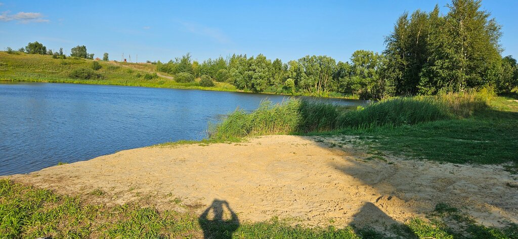 Plaj Пляж Пруд Добрынинский, Riazanskaya oblastı, foto