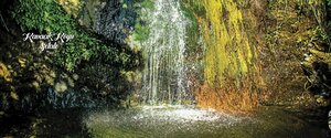 Kadın Hakları Parkı (İzmir, Karabağlar, Tahsin Yazıcı Mah., Kadın Hakları Parkı), kültür ve eğlence parkları  İzmir'den