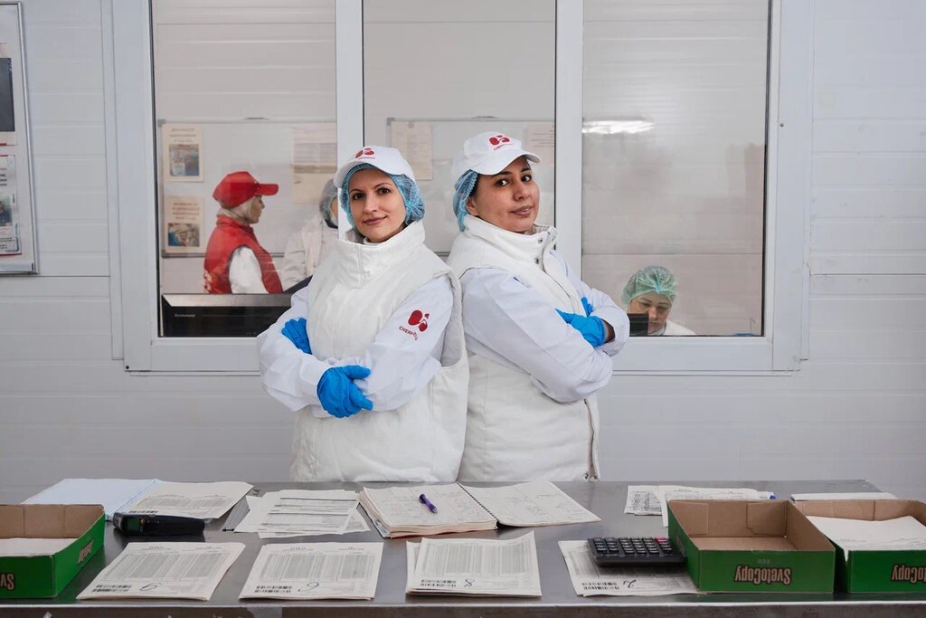 Kümes hayvanları çiftliği Группа Черкизово Лиско Бройлер, Liski, foto