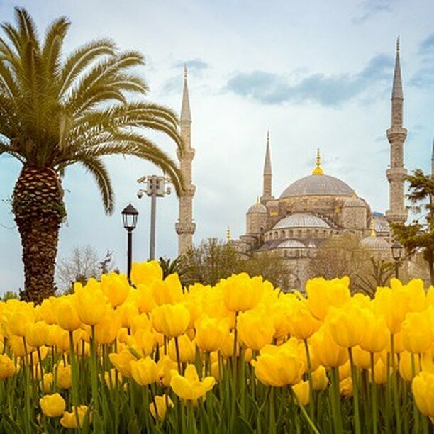 Geziler Moonstar Tour Pamukkale, Denizli, foto