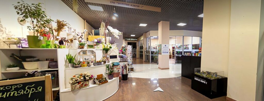 Yapı mağazası Strait-Flex, Moskova, foto