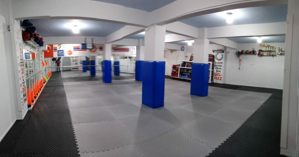 Spor kulüpleri Yiğit Taekwondo, İstanbul, foto