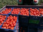 Devagro Tarım (Çanakkale, Biga, İnönü Cad., 49), yem ve yem katkı maddeleri  Biga'dan